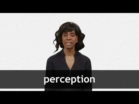 PERCEPTION definition and meaning | Collins English Dictionary