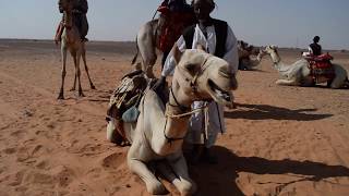 10 things to do in Shendi National Museum Shendi Sudan | Gems.Travel