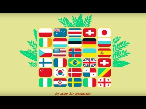 ๐ฎ๐ฑ Lev Haolam - Monthly Package Project from Israel