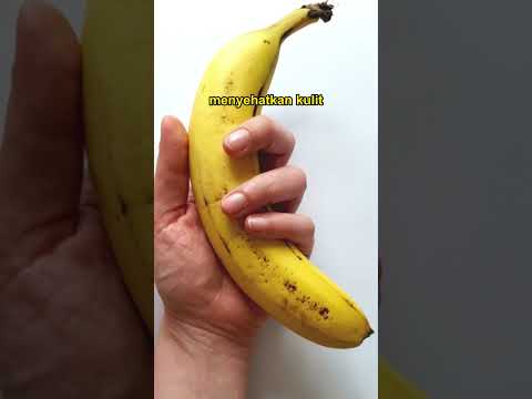 Pisang: Buah Serba Guna yang Kaya Akan Nutrisi dan Kesehatan