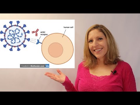 Catch This Episode 27 - Spikevax Induces Durable Protection from the Delta Variant