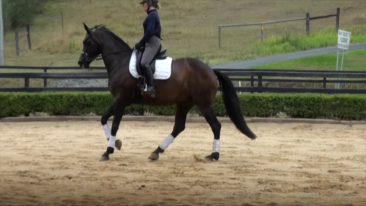 SPR Poesta flatwork