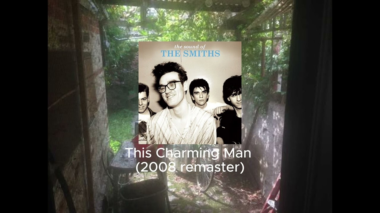 °ᡣ𐭩 . ° . a best of the smiths playlist (personal selection)