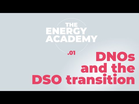 Distribution Network Operators: what are DNOs (and DSOs)?