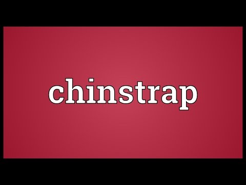 Chinstrap Meaning