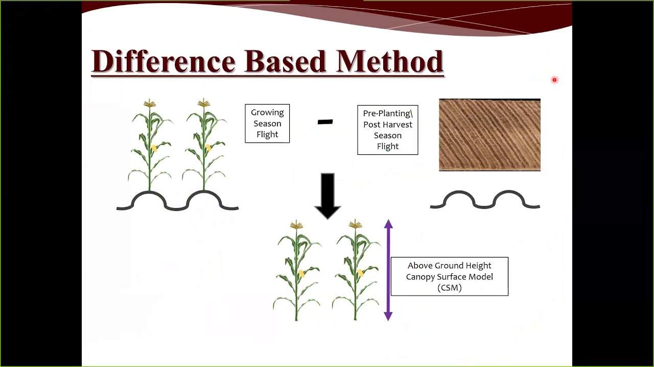 Prediction of maize grain yield using temporal height estimates of unmanned aerial systems