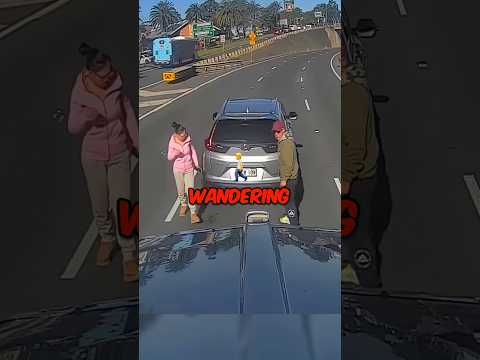 Reckless Driver Blocks Highway! 🤬