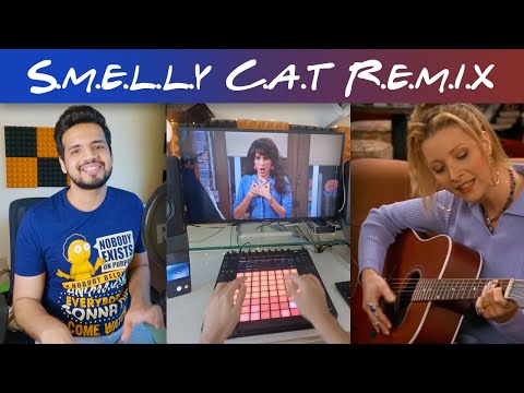 Smelly Cat Remix - Phoebe Buffay x Mayur Jumani