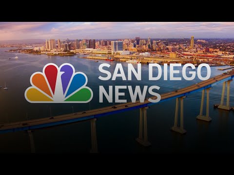 WATCH LIVE: Midday news Election Day, Nov. 5, 2024