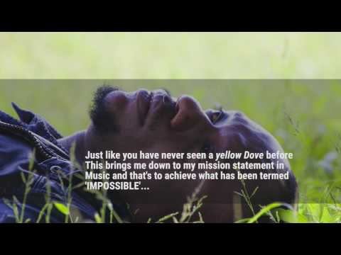 Yellow Dove (Antonio)- On the meaning of the name Yellow Dove (Lyric video)