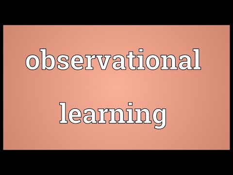 Observational learning Meaning