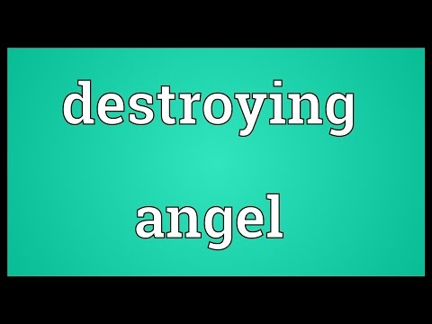 Destroying angel Meaning