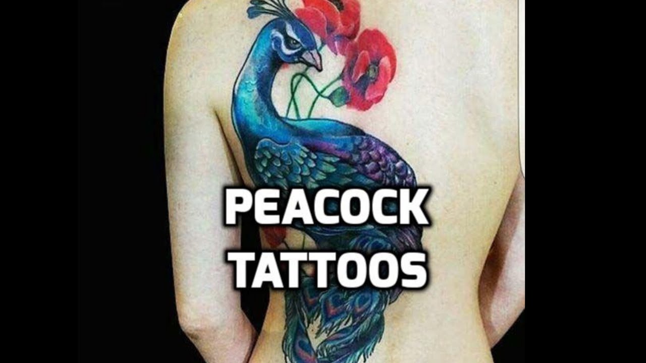 Peacock Tattoos - Best Peacock Tattoo Designs Ideas HD