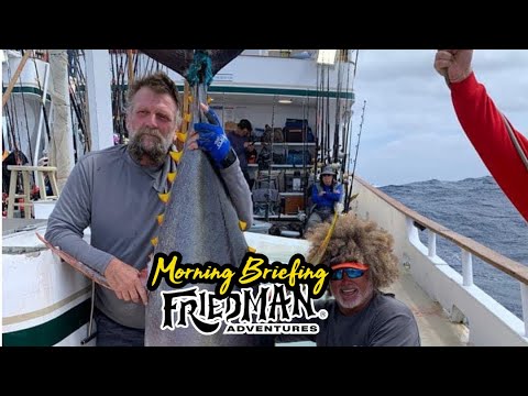 Royal Polaris with a cow yellowfin tuna, albacore rumors abound, FA PATREON fiesta tomorrow