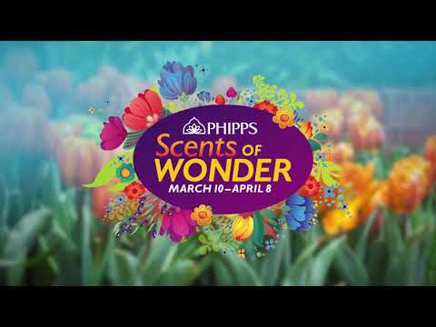 Spring Flower Show: Scents of Wonder Now Open