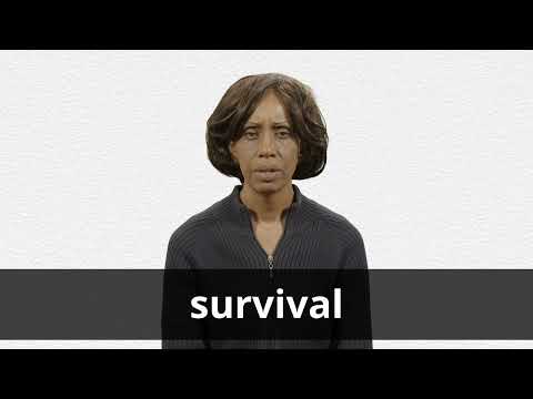 SURVIVAL definition and meaning | Collins English Dictionary