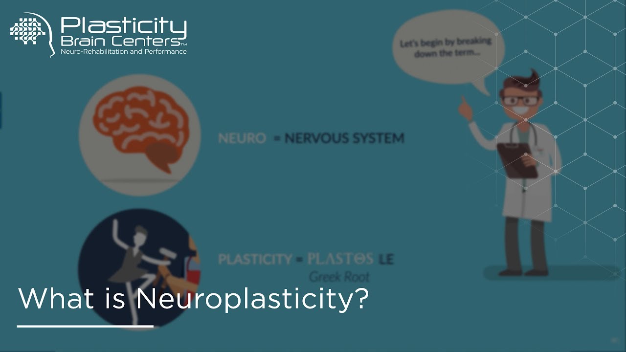 What is Neuroplasticity?