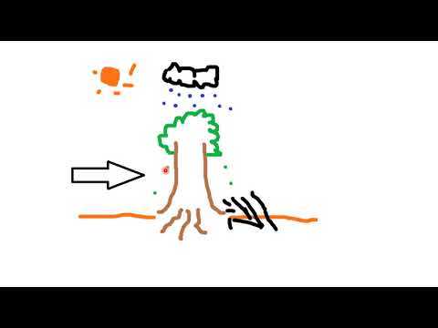Geography@Penrice - Desertification - Causes