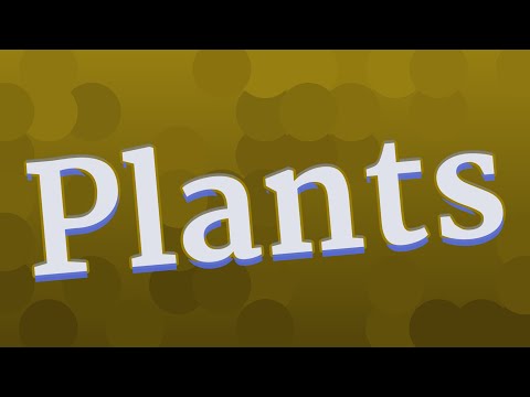 PLANTS pronunciation • How to pronounce PLANTS
