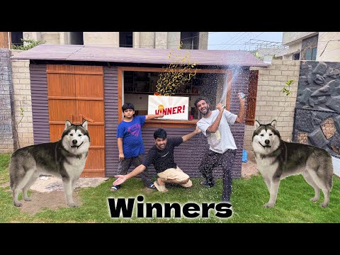 Dogs Giveaway Winners Announce Kr Dye????????Congratulations ????