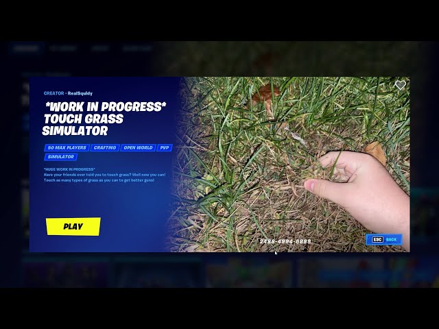 Fortnite player told to 'Touch grass' after playing too long, his ...