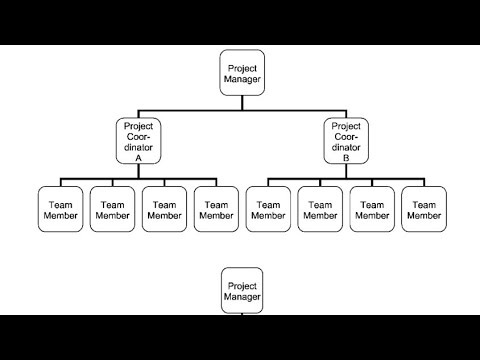 Types of organizational structures | tall and flat organisation @ education for all