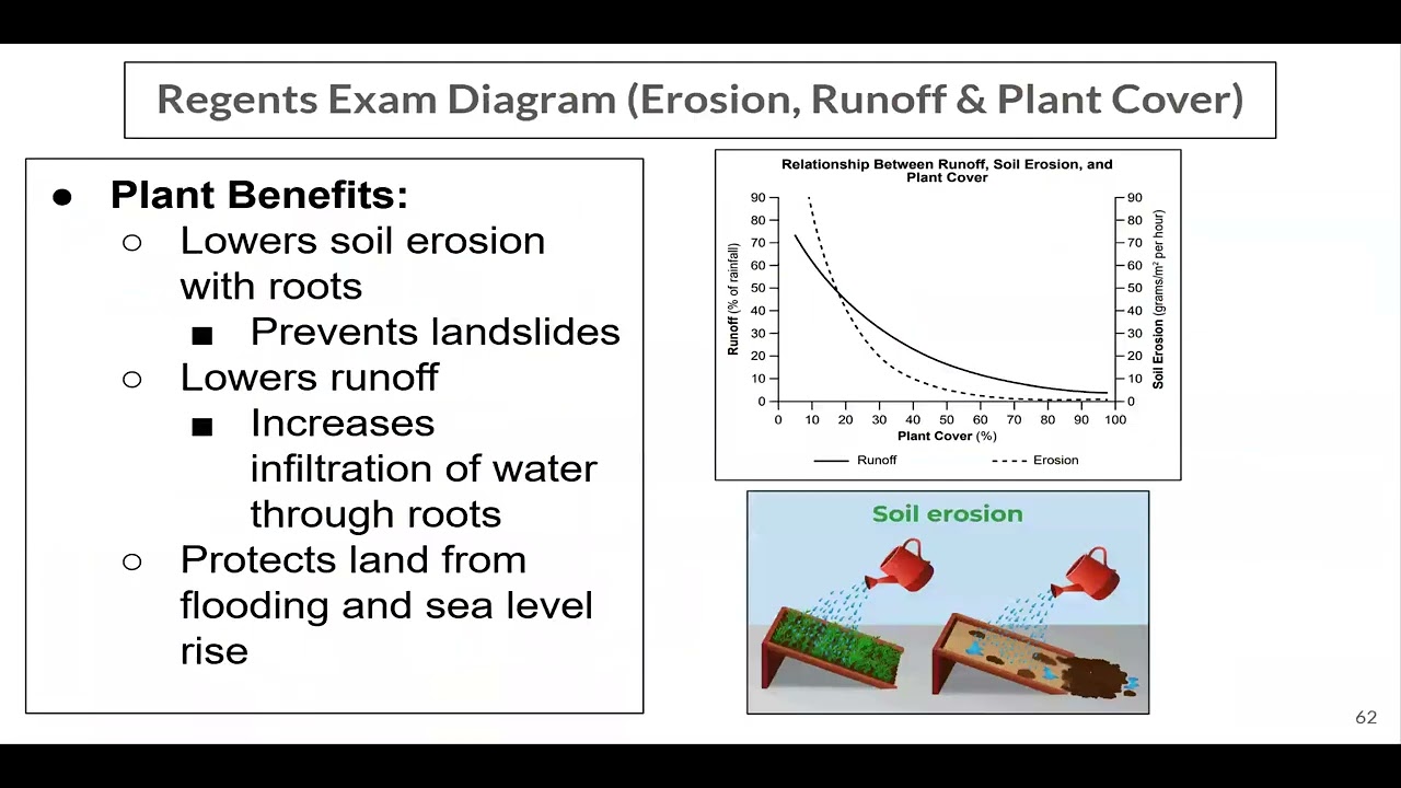 Erosion, Runoff, and Vegetation
