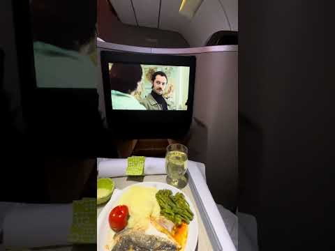 TAP (Transportes Aéreos Portugueses) Air Portugal, Business Class, Voar em Executiva
