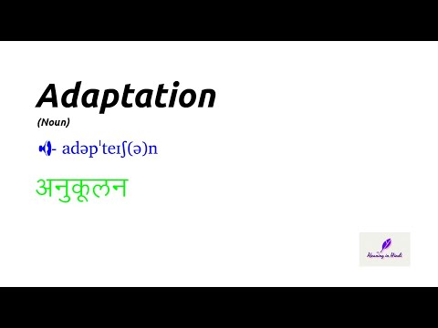Meaning of "Adaptation" (Noun) in Hindi | Adaptation का मतलब हिंदी में