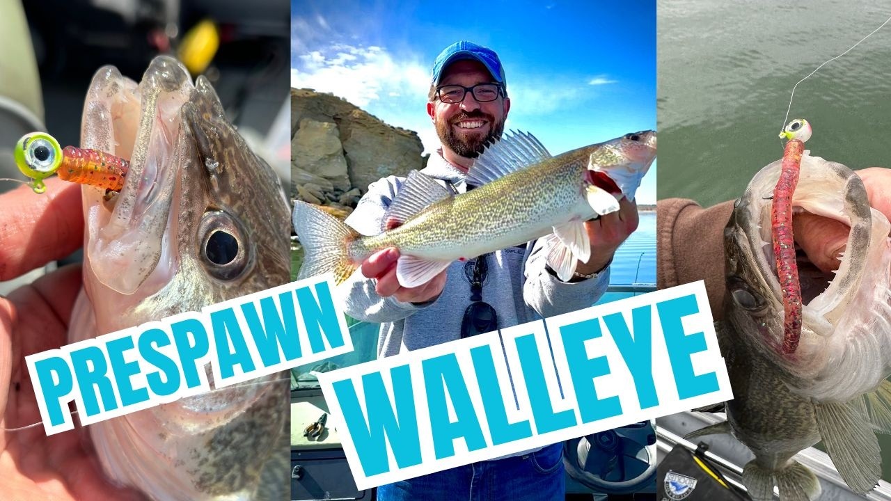Pre Spawn Walleye Tactics and Tips
