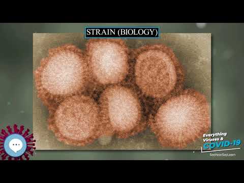 Strain biology π§«π©πΎββοΈπ€ Everything Viruses & COVID-19 π€π©ββοΈπ§«
