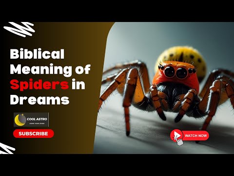 Biblical Meaning of Spiders in Dreams: Unveiling Spiritual Symbolism