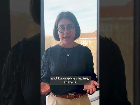 What does the BIS do?