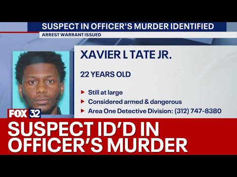 Aurora, Illinois’s Xavier Tate accused of shooting Chicago cop Luis ...