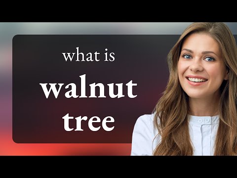 Walnut tree — meaning of WALNUT TREE