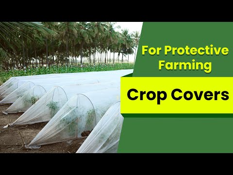 Crop Protection Service in India