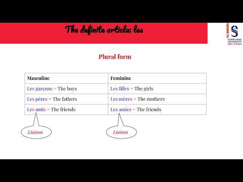 Definite and indefinite articles in French