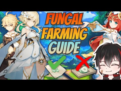 How to Farm Fungal Spores in Genshin Impact