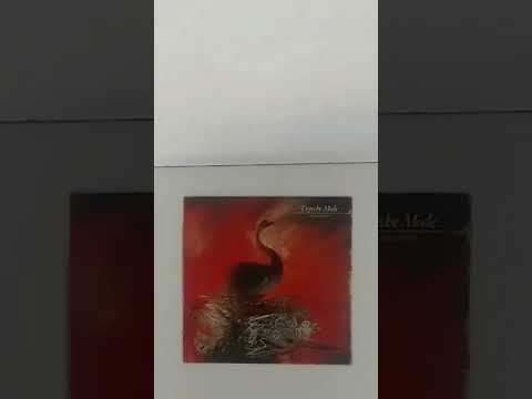 Unboxing Vinyl Series Depeche Mode"Speak & Spell"Black Vinyl FirstPress(1981)