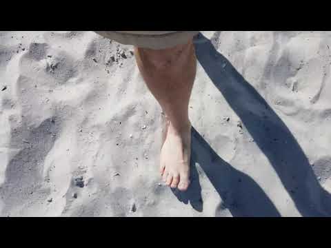 Sunshine of NE Florida