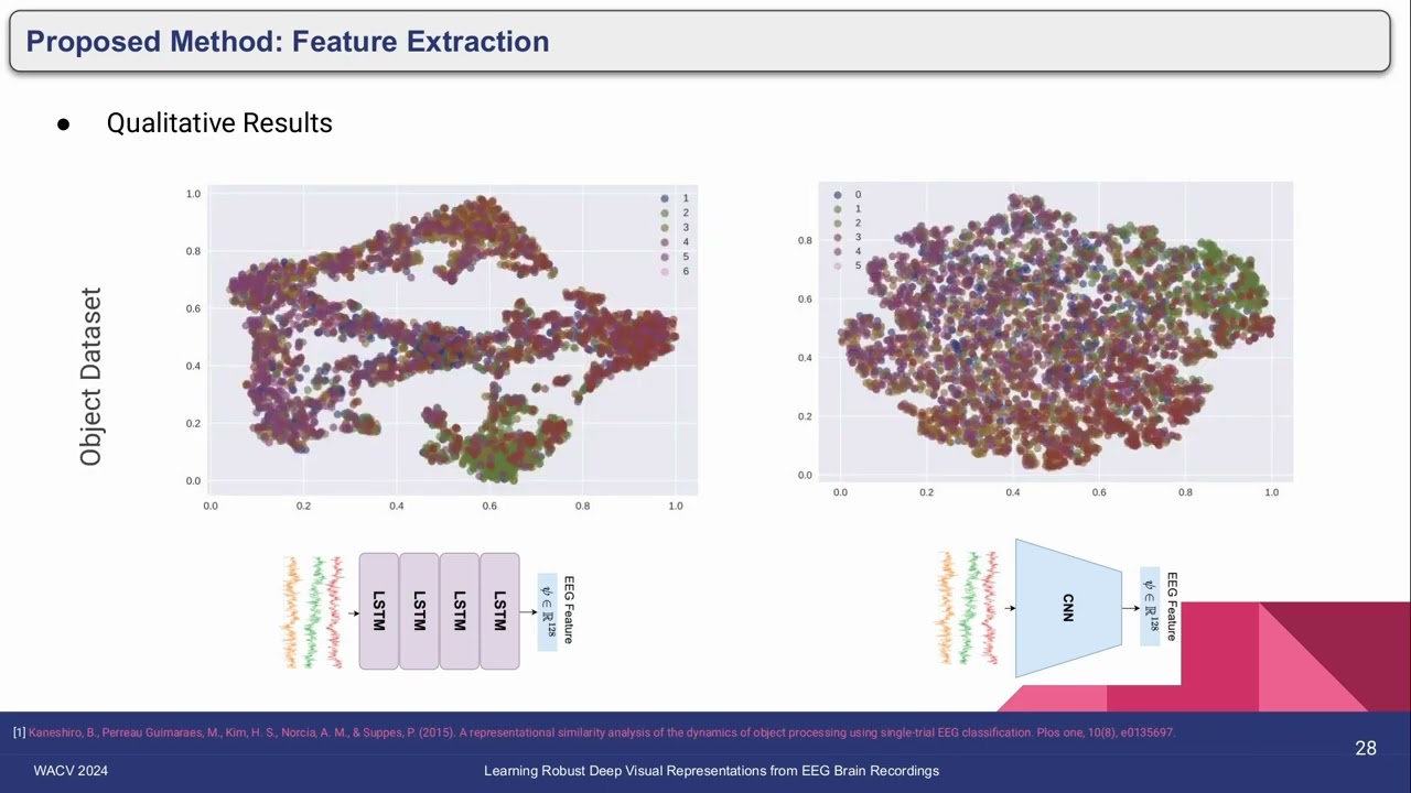 Learning Robust Deep Visual Representations From EEG Brain Recordings