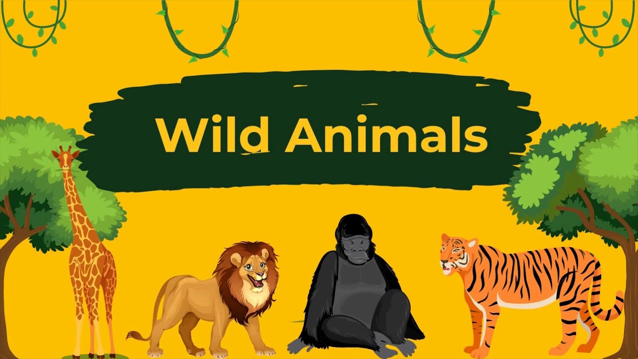 Wild Animals PowerPoint  Presentation