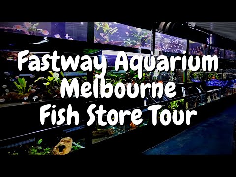 Melbourne Local Fish Store Tour - Fastway Aquarium & Hydroponics, West Footscray
