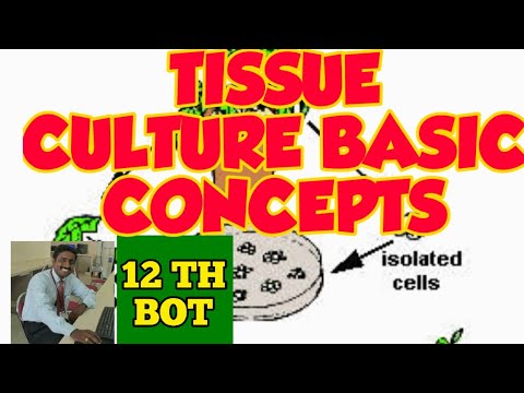 BASIC CONCEPTS OF TISSUE CULTURE