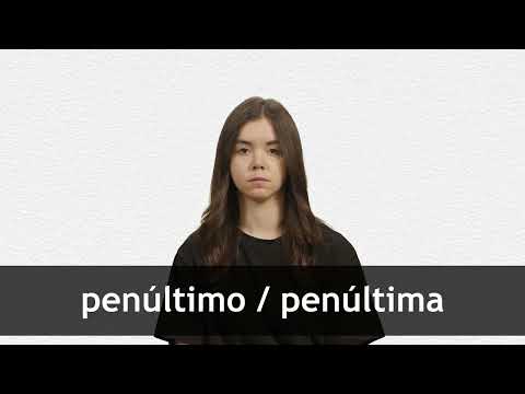 English Translation of “PENÚLTIMO” | Collins Spanish-English Dictionary