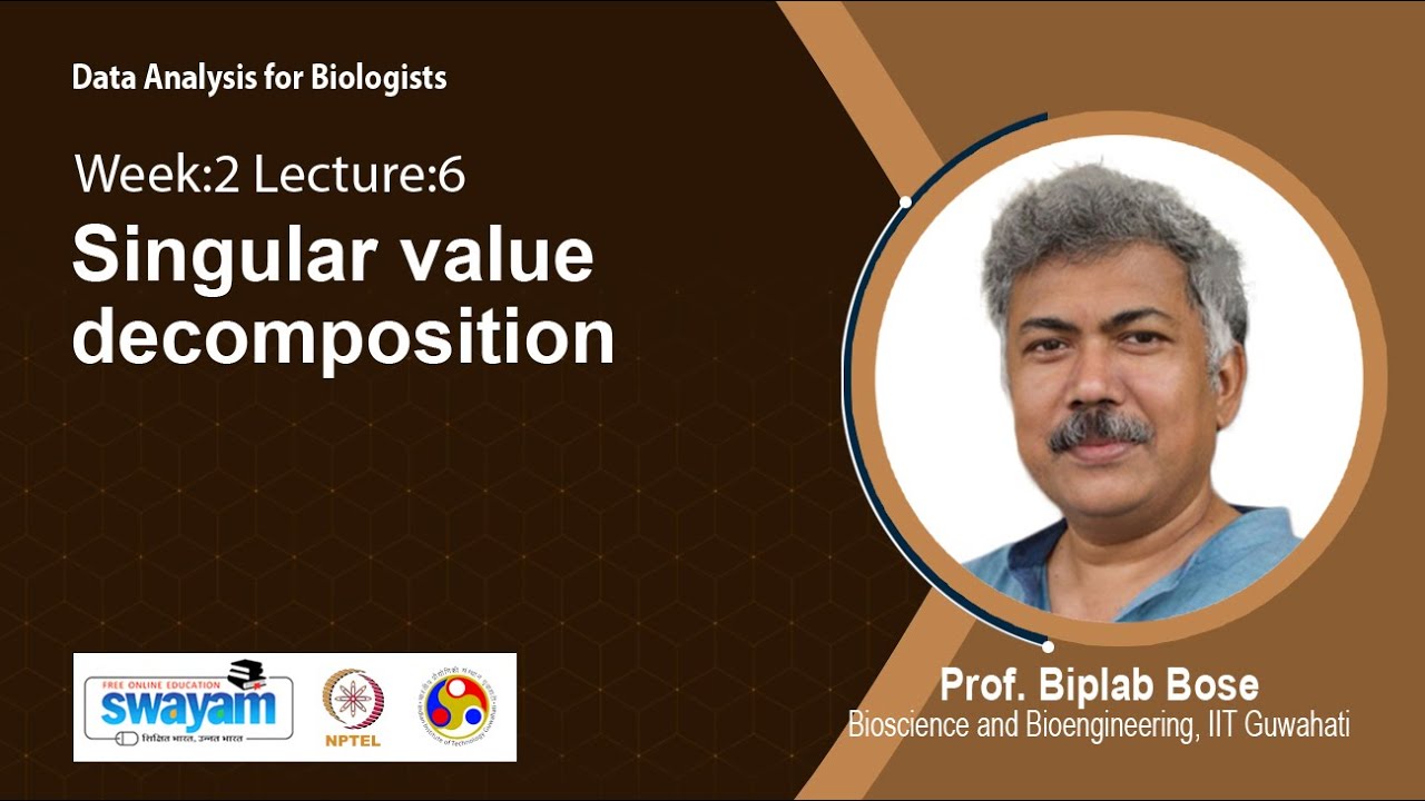 Lec 13: Singular value decomposition