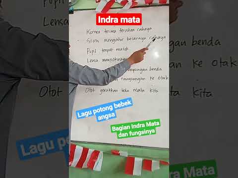 Lagu Indra Mata-bagian indra mata dan fungsinya