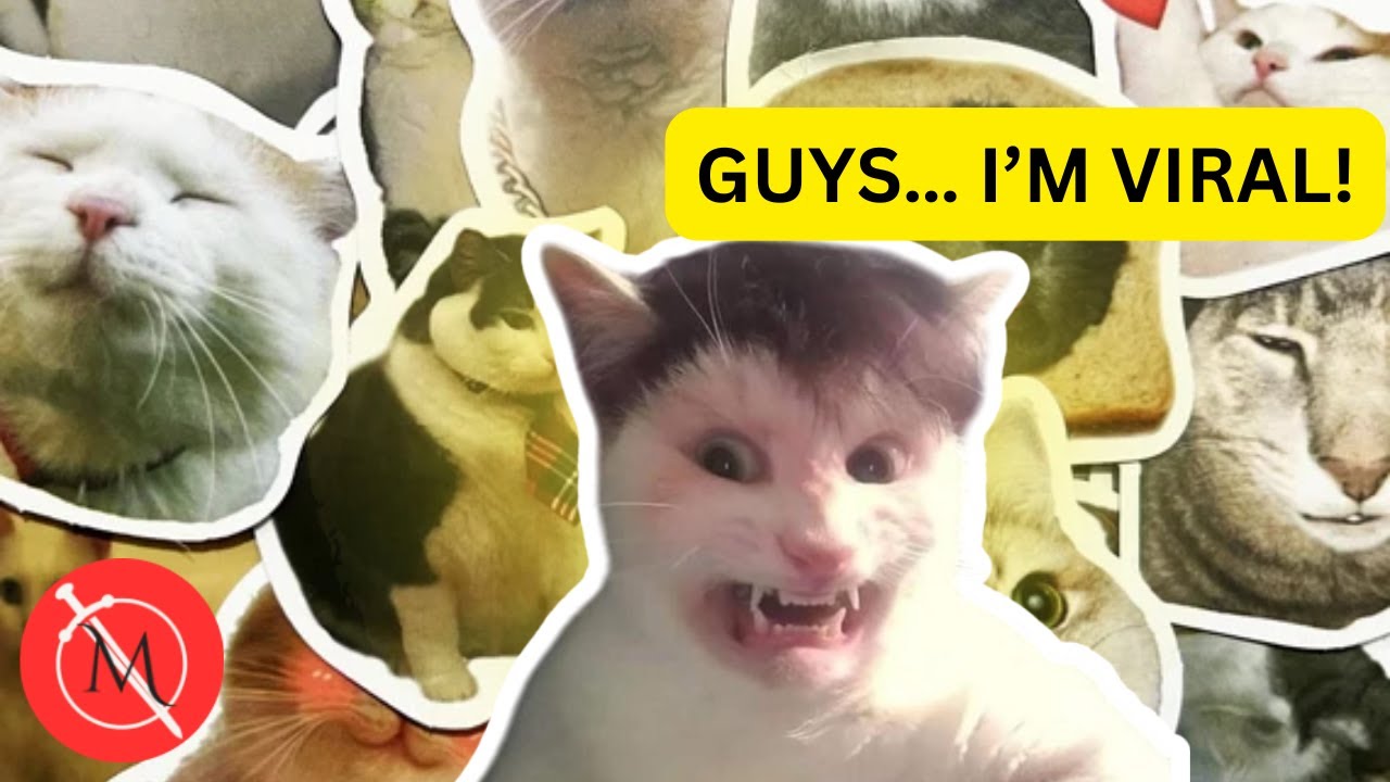 Clutterfunk-Cat: The Internet’s Newest Star!