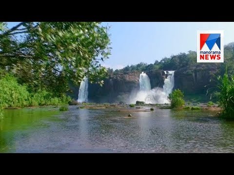 Kerala govt to go ahead with Athirappilly project | Manorama News