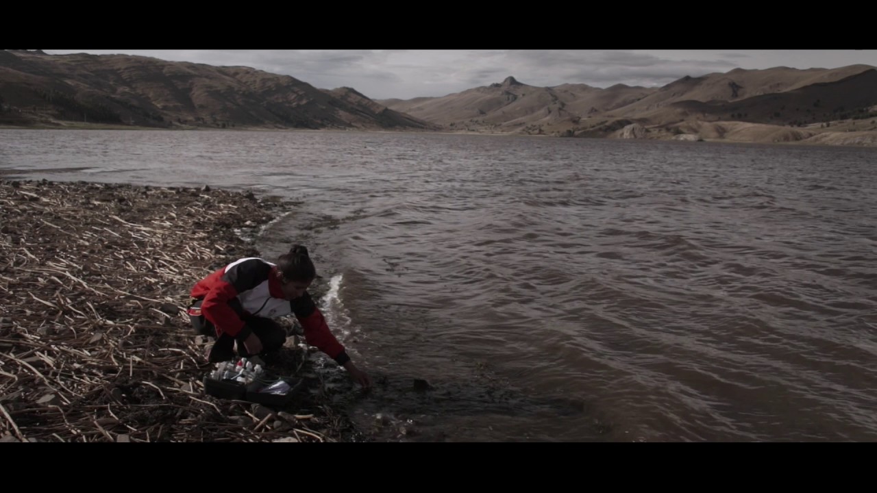 Smart School Puno  SAMSUNG